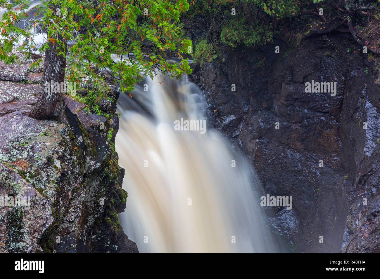Minnesota, Cascade River State Park, Cascade Falls Stock Photo - Alamy