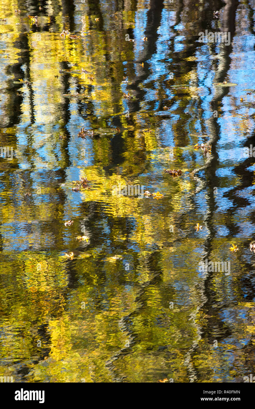 USA, Minnesota. Autumn leaf reflections on the Kettle River, St. Croix ...