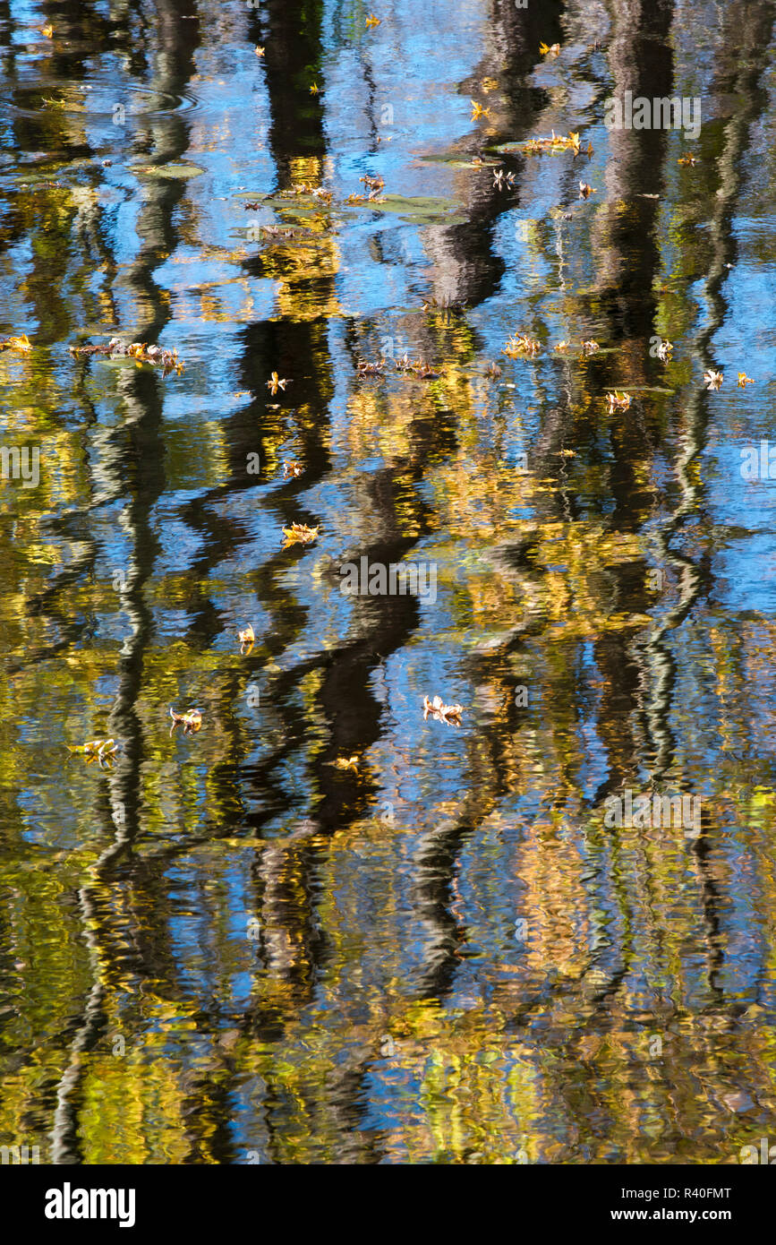 USA, Minnesota. Autumn leaf reflections on the Kettle River, St. Croix ...