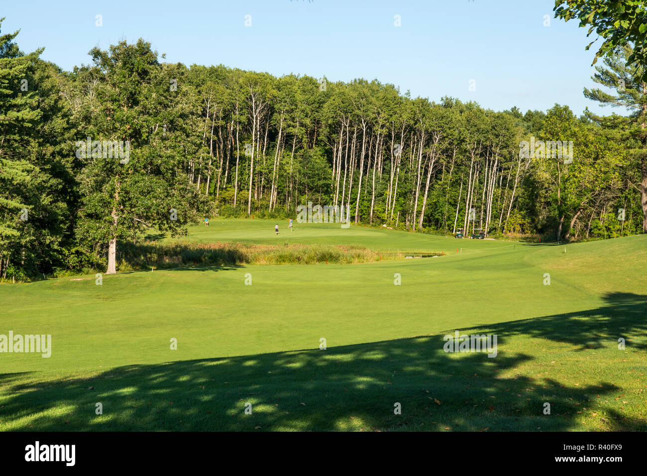 Tianna hawkins hi-res stock photography and images - Alamy