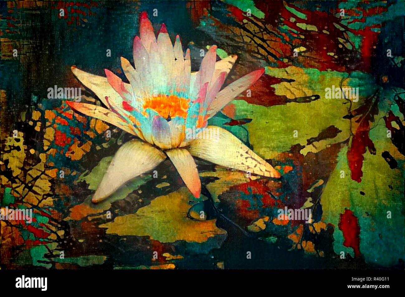 One of a series of beautiful images of water lilies done in an ...