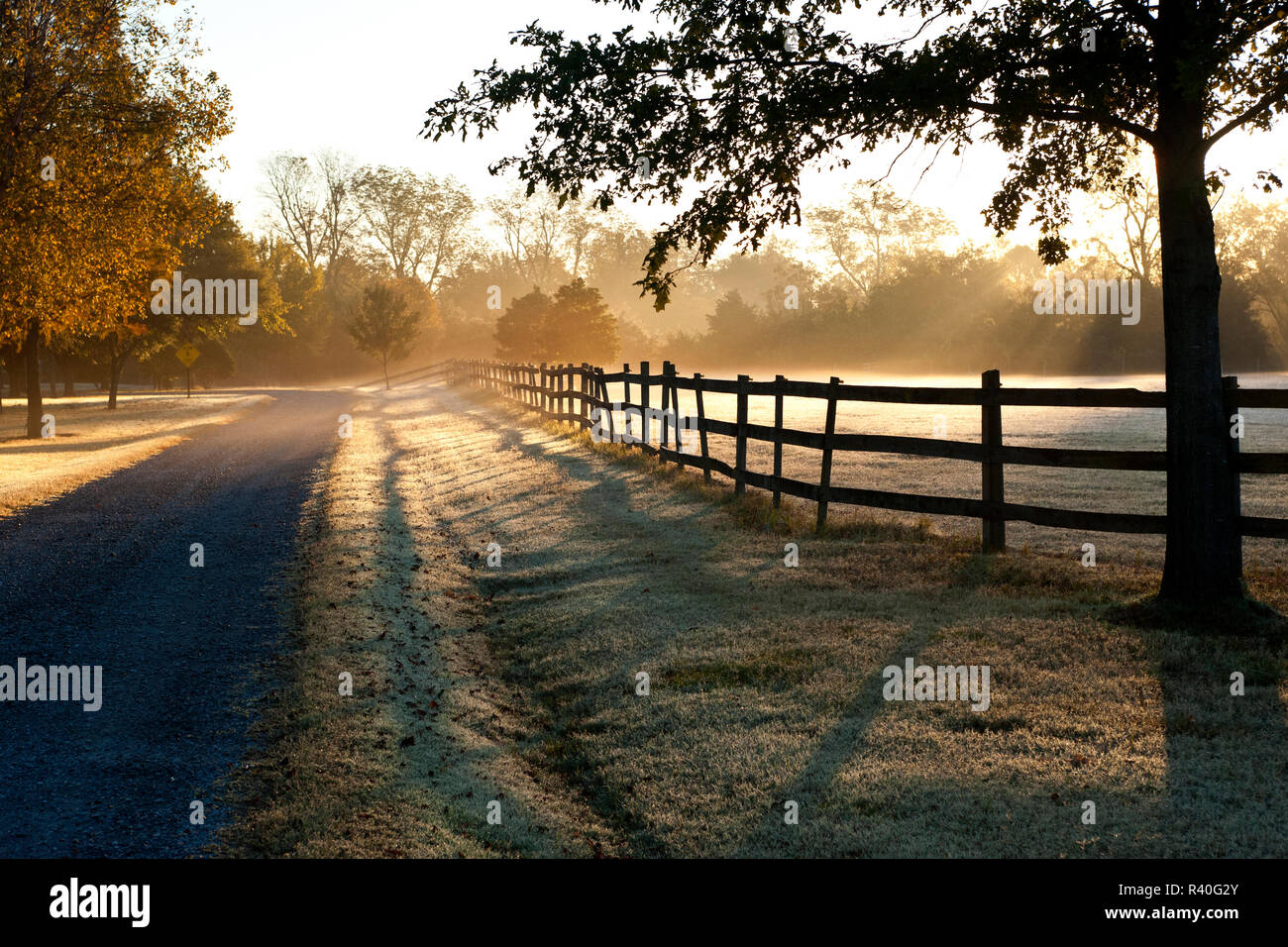 Quiet country road in first light of morning, Mississippi Stock Photo ...