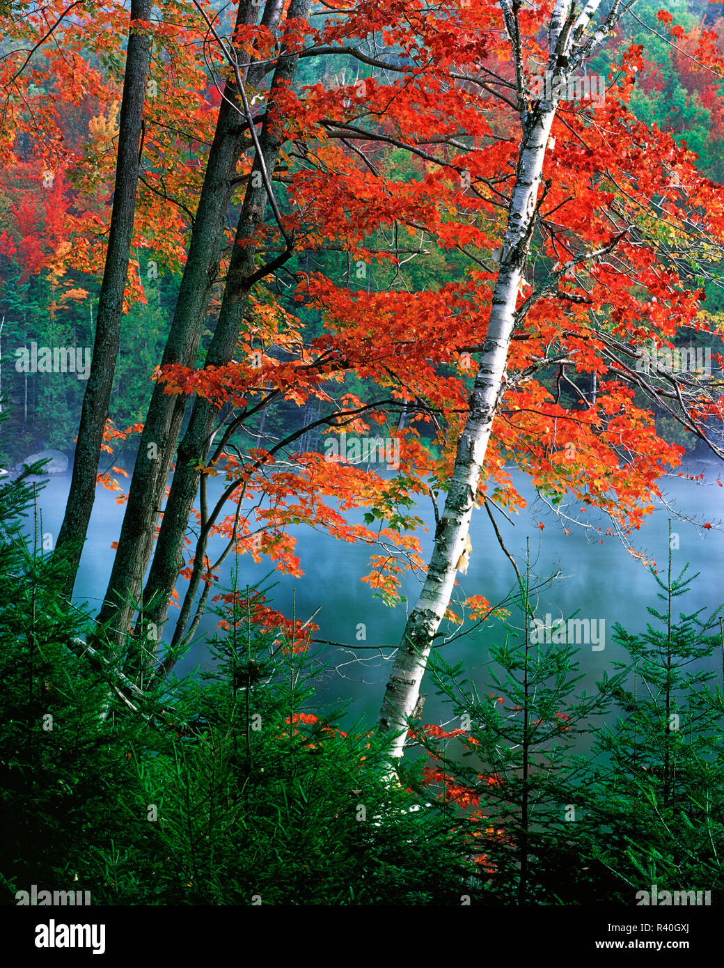 Adirondack park and preserve hi-res stock photography and images - Alamy