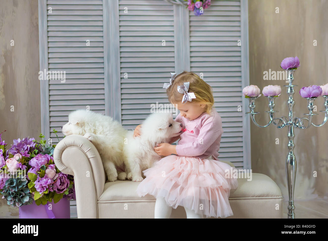 Portrait of blond baby girl play with husky puppy.Model girl with blond ...
