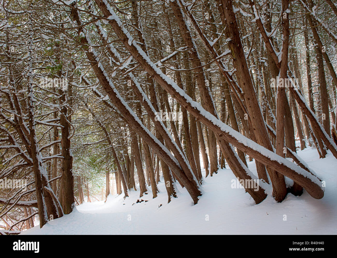 Syracuse winter hi-res stock photography and images - Alamy