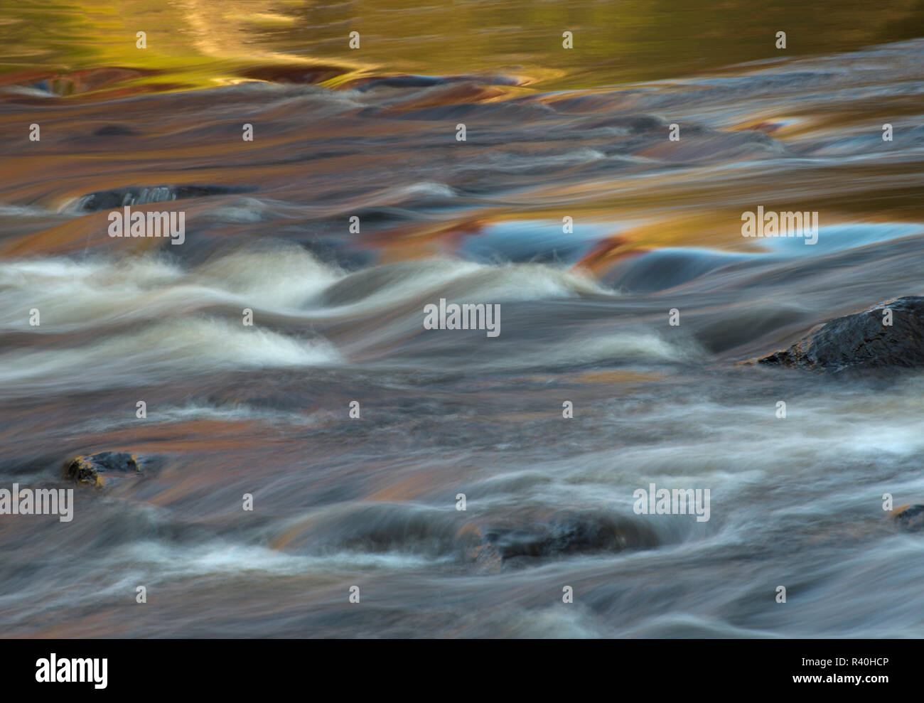 USA, New York State. Autumn colors reflected in the Bog River ...