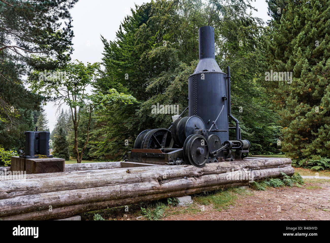 Logging heritage Steam Donkey, UBC Malcolm Knapp Research Forest, Maple ...
