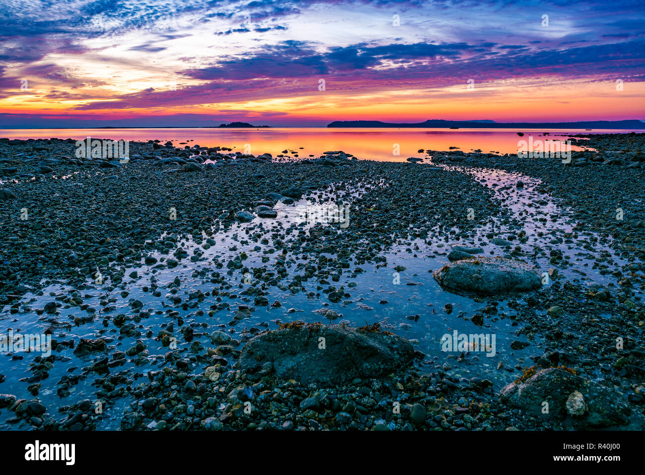 Dawn sky, Baynes Sound, Union Bay, British Columbia, Canada Stock Photo ...