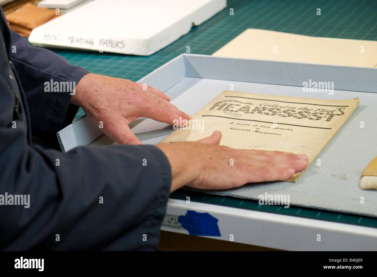Conservationist at work at the New York Historical Society, New York ...