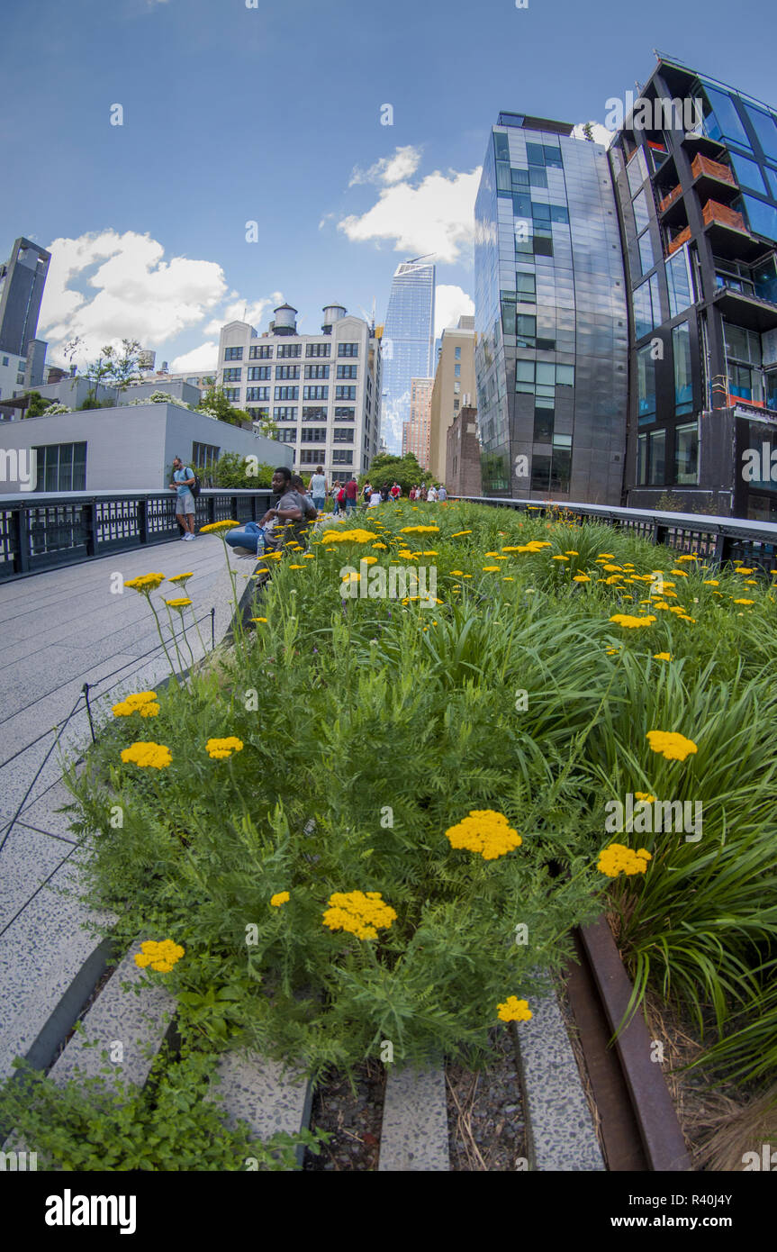 The High Line, Lower West Side, Manhattan, New York, USA Stock Photo ...