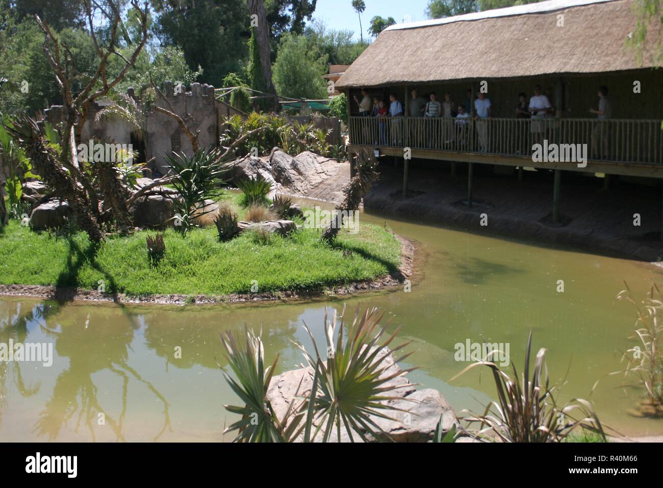 Cango Wildlife Ranch, South Africa Stock Photo - Alamy