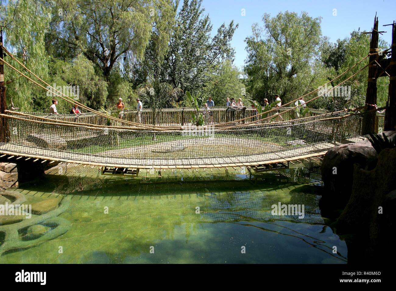 Guided tour, Cango Wildlife Ranch, South Africa Stock Photo - Alamy