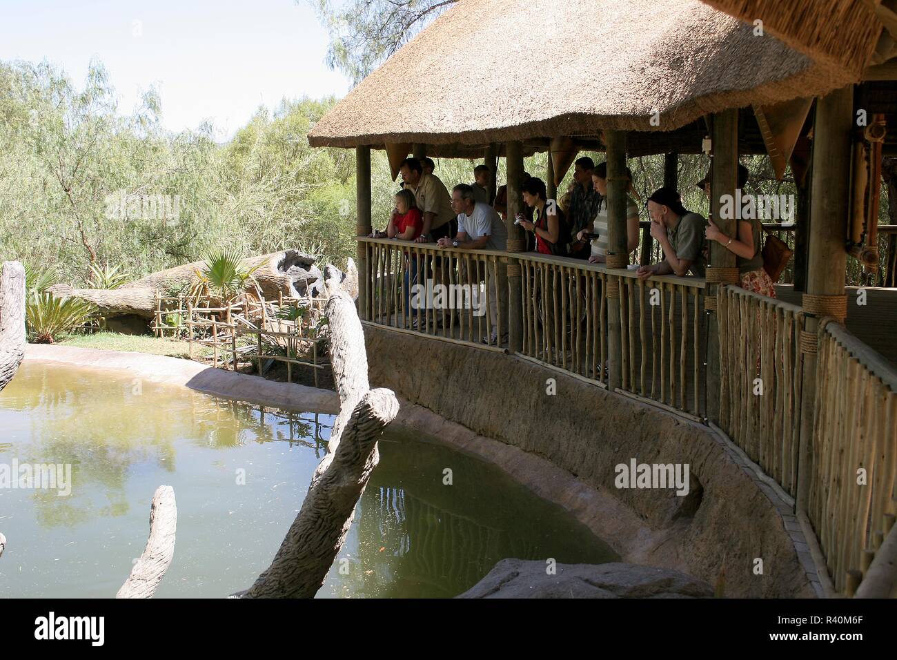 Cango Wildlife Ranch, South Africa Stock Photo - Alamy
