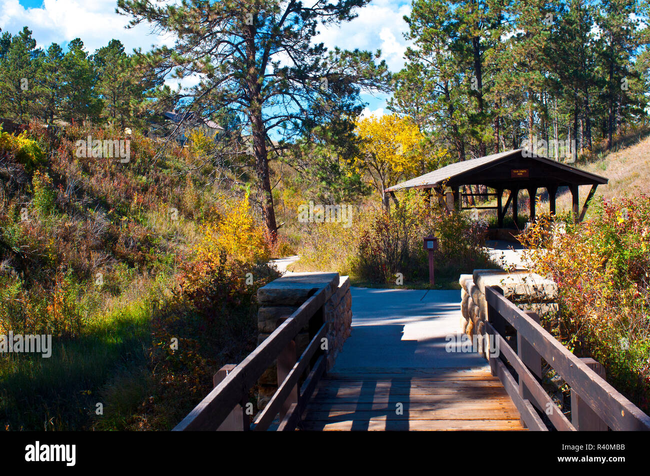 USA, South Dakota, Hot Springs, Wind Cave National Monument, Trail to ...