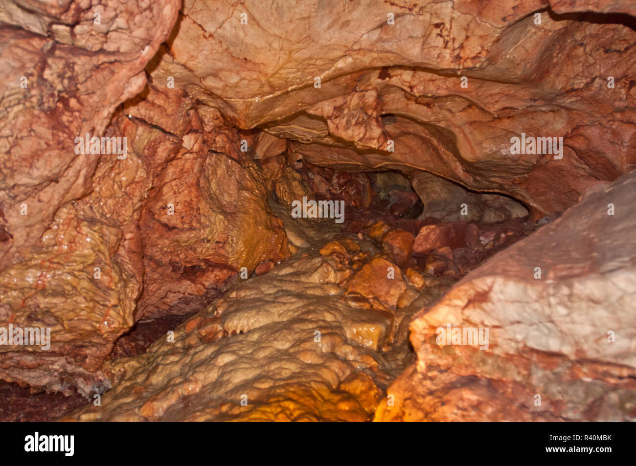 USA, South Dakota, Hot Springs, Wind Cave National Monument, Garden of ...