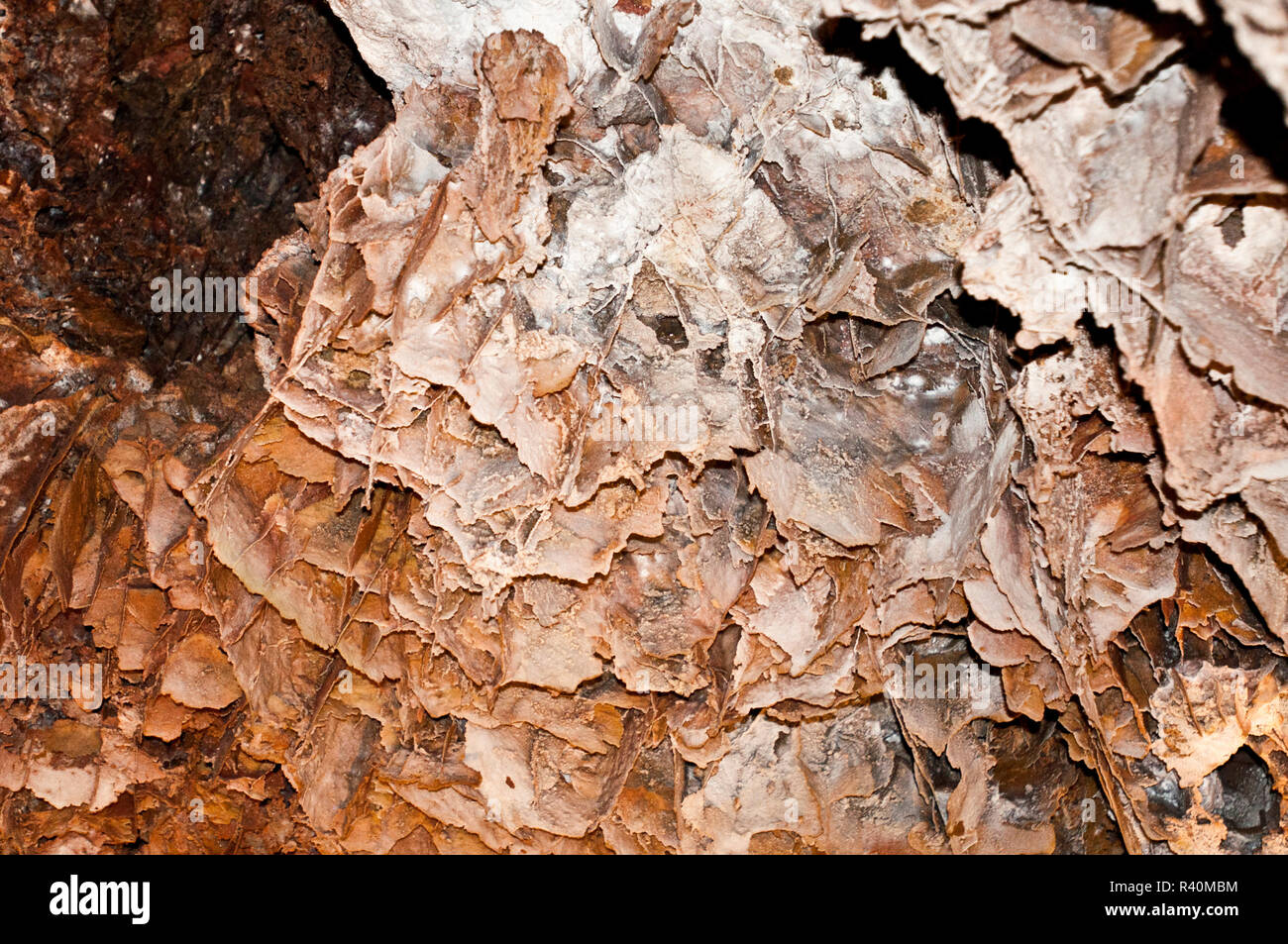 Garden of eden cave tour hi-res stock photography and images - Alamy