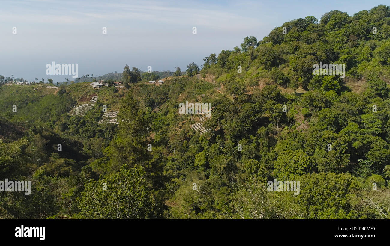 rural landscape mountains with farmlands, village, fields with crops ...