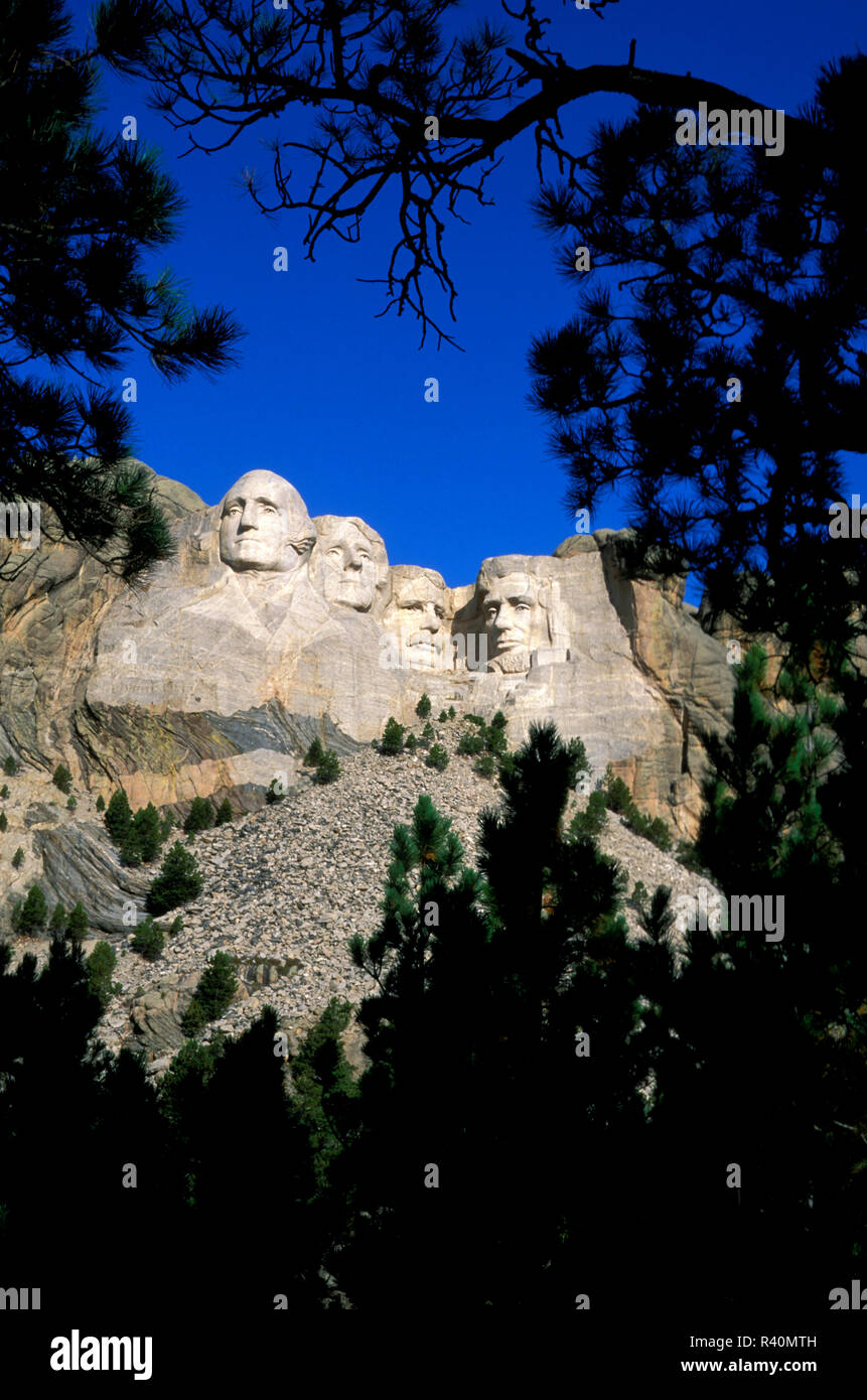 Morning light on Mount Rushmore through silhouetted pine trees, Mount ...