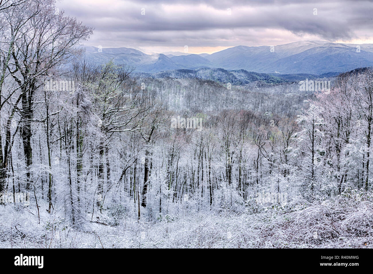 Snow in spring, from Roaring Fork Motor Nature Trail, Great Smoky ...