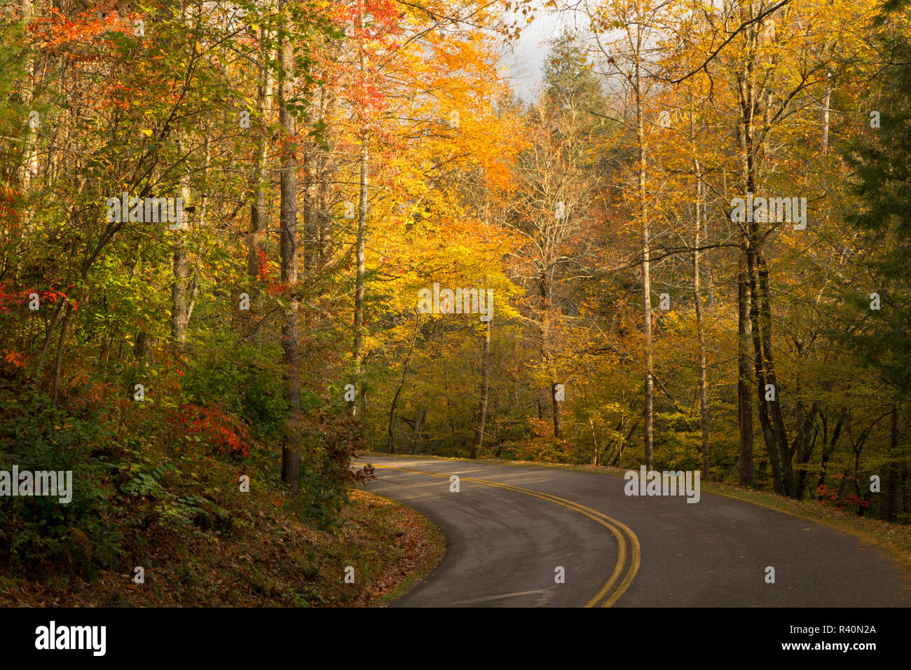Gayle road hi-res stock photography and images - Alamy