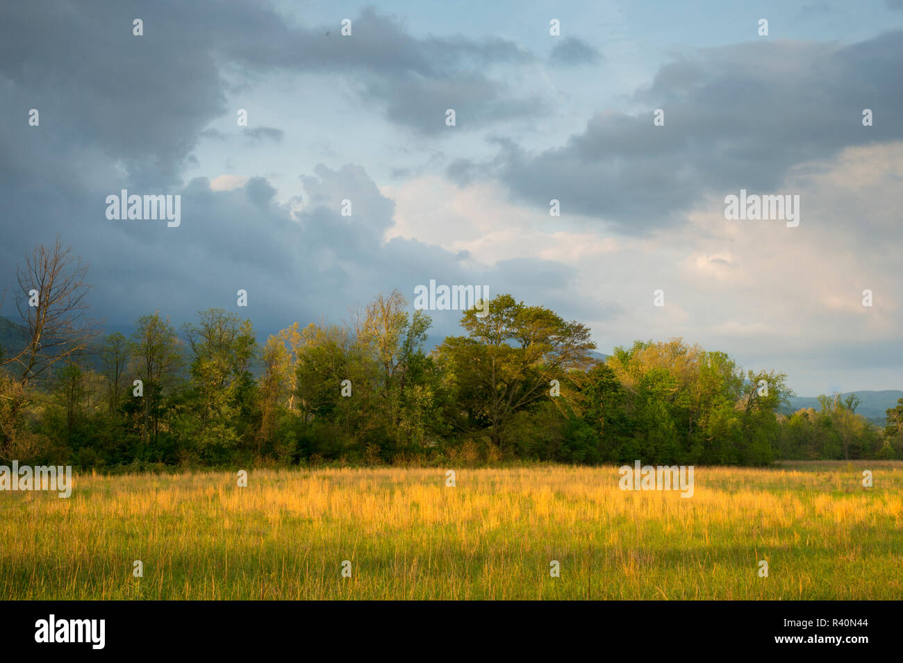 USA, Tennessee. Smoky Mountain National Park, landscape Stock Photo - Alamy