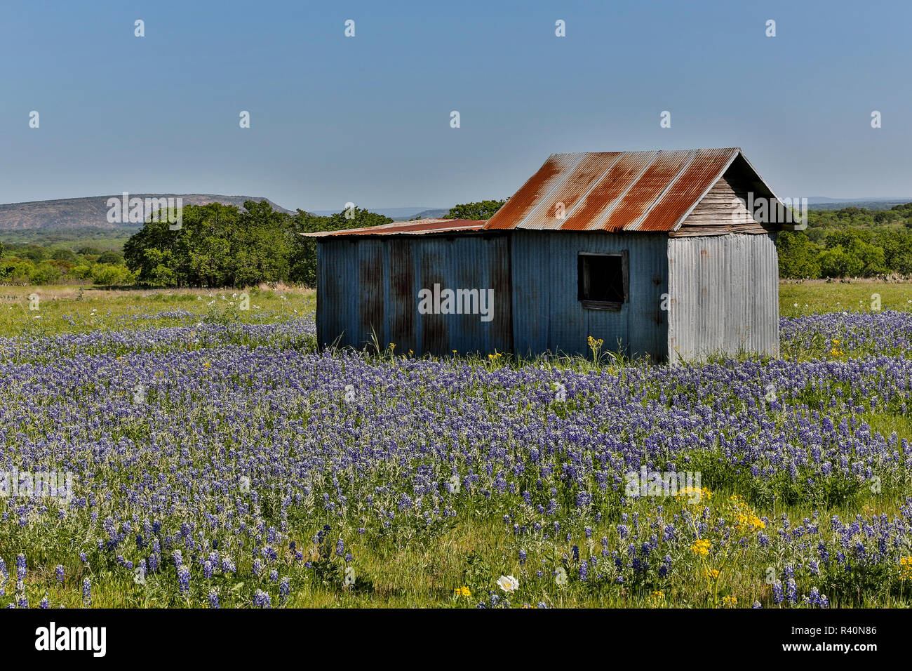 Old abandoned building, Cherokee, Texas Stock Photo - Alamy