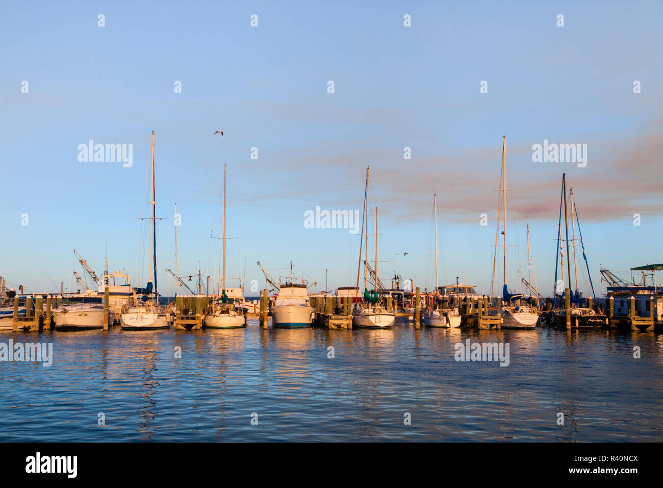 Aransas bay boat harbor hi-res stock photography and images - Alamy