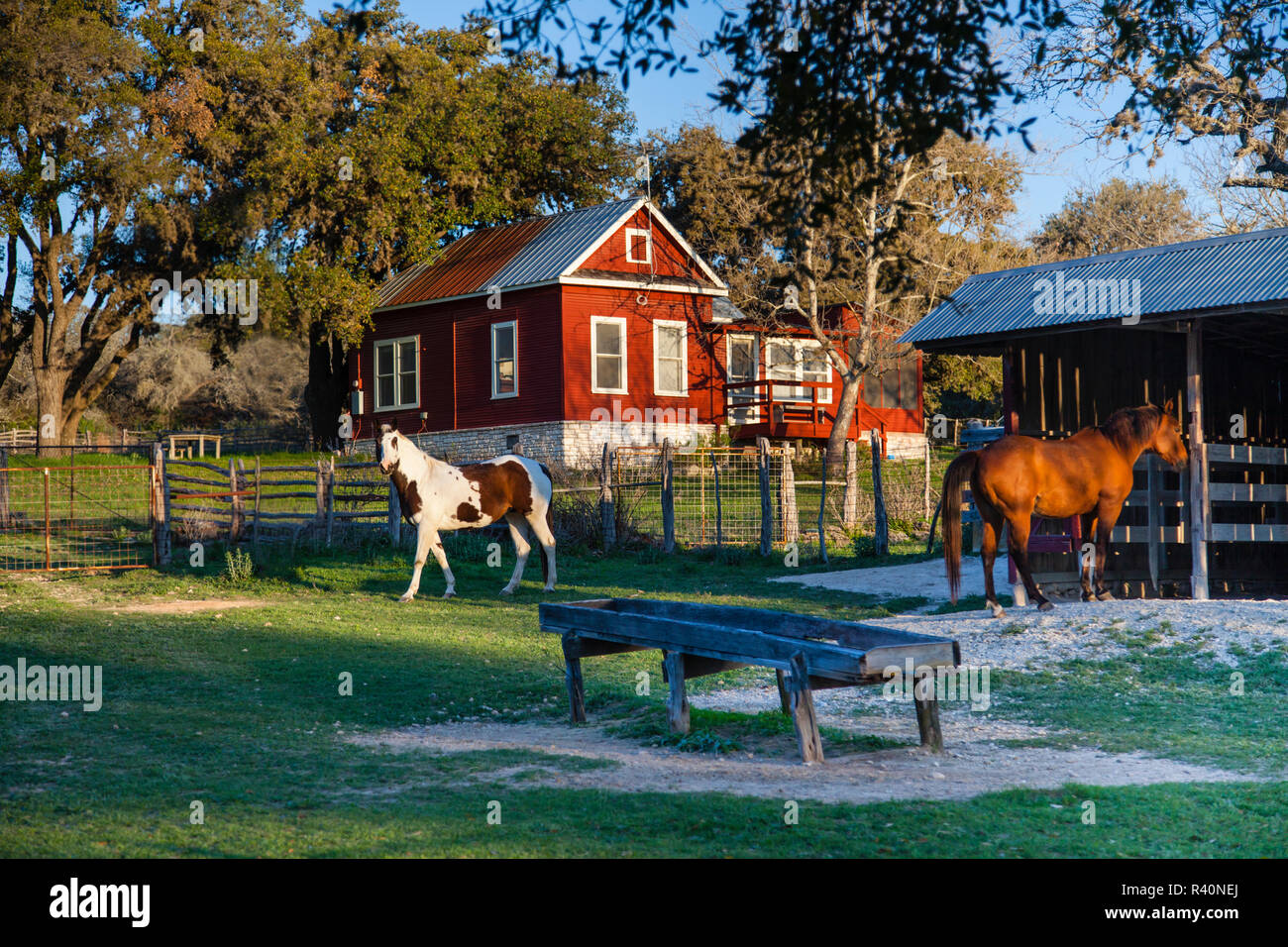 Horses in corral Stock Photo - Alamy