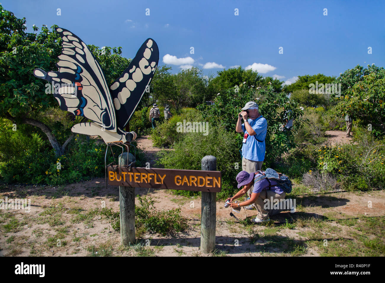 Texas butterfly watching hi-res stock photography and images - Alamy