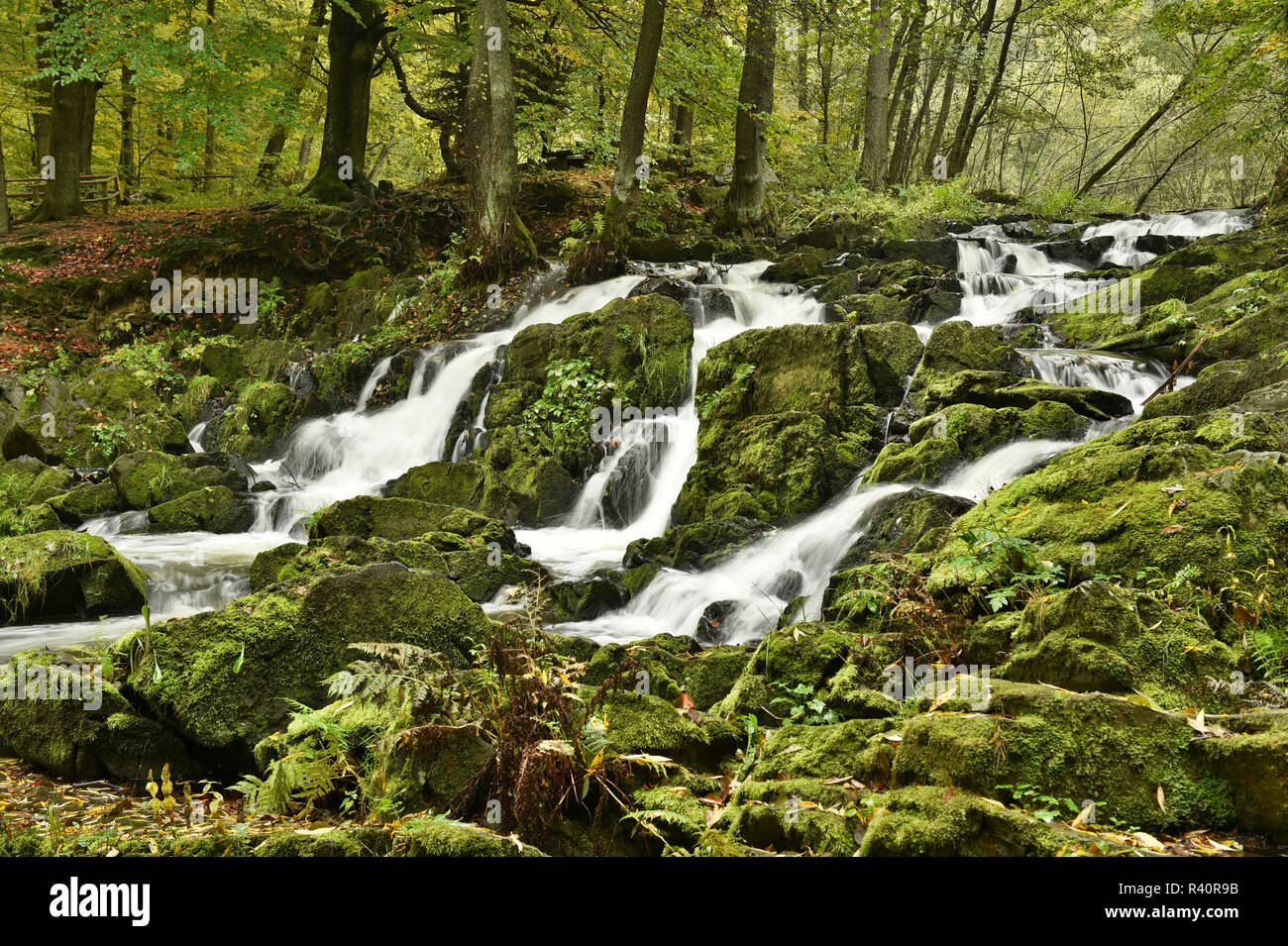 the selke case Stock Photo - Alamy