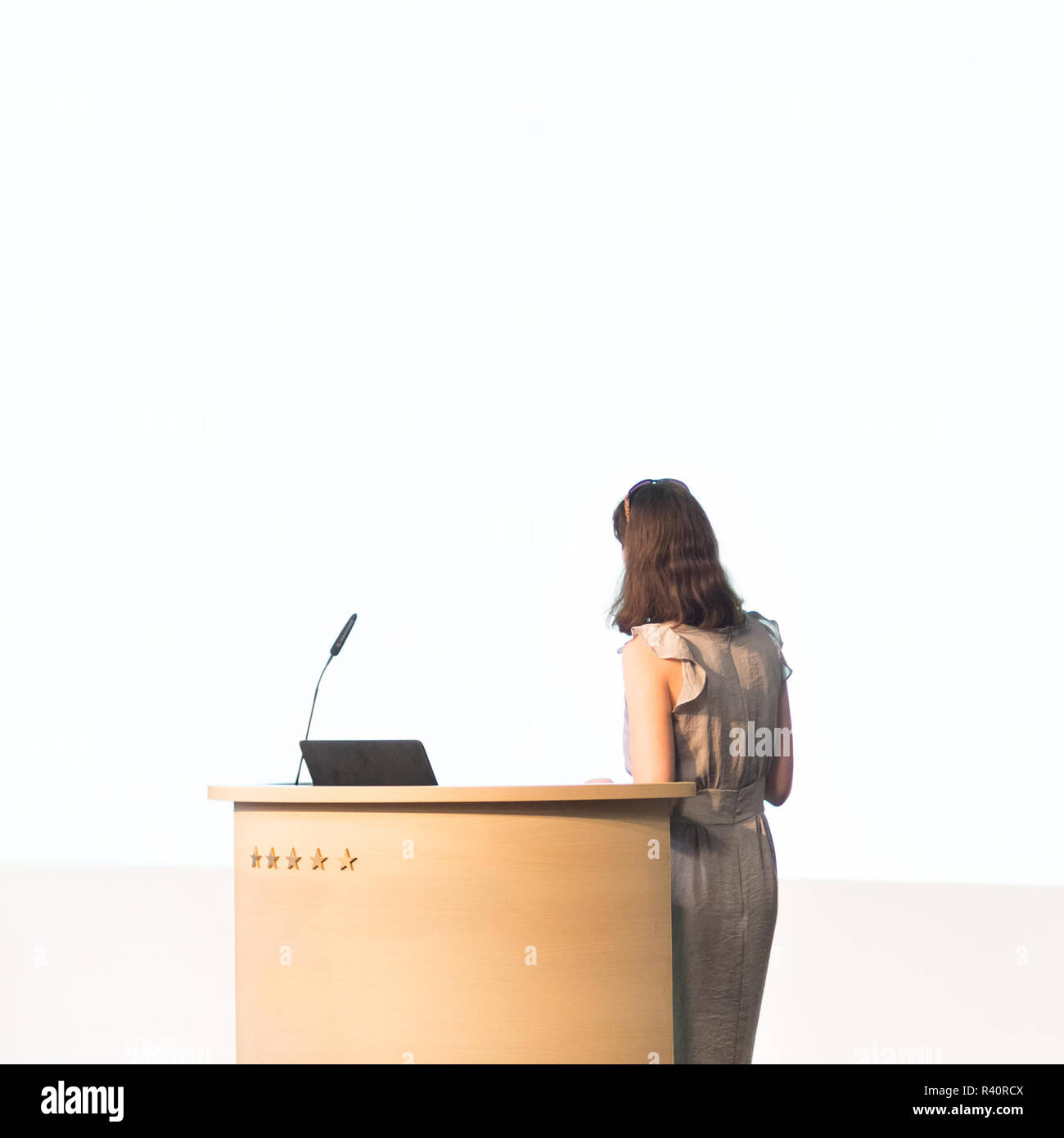 Business woman making business presentation Stock Photo - Alamy