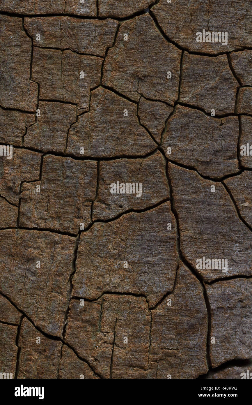 Gritty wood texture hi-res stock photography and images - Alamy