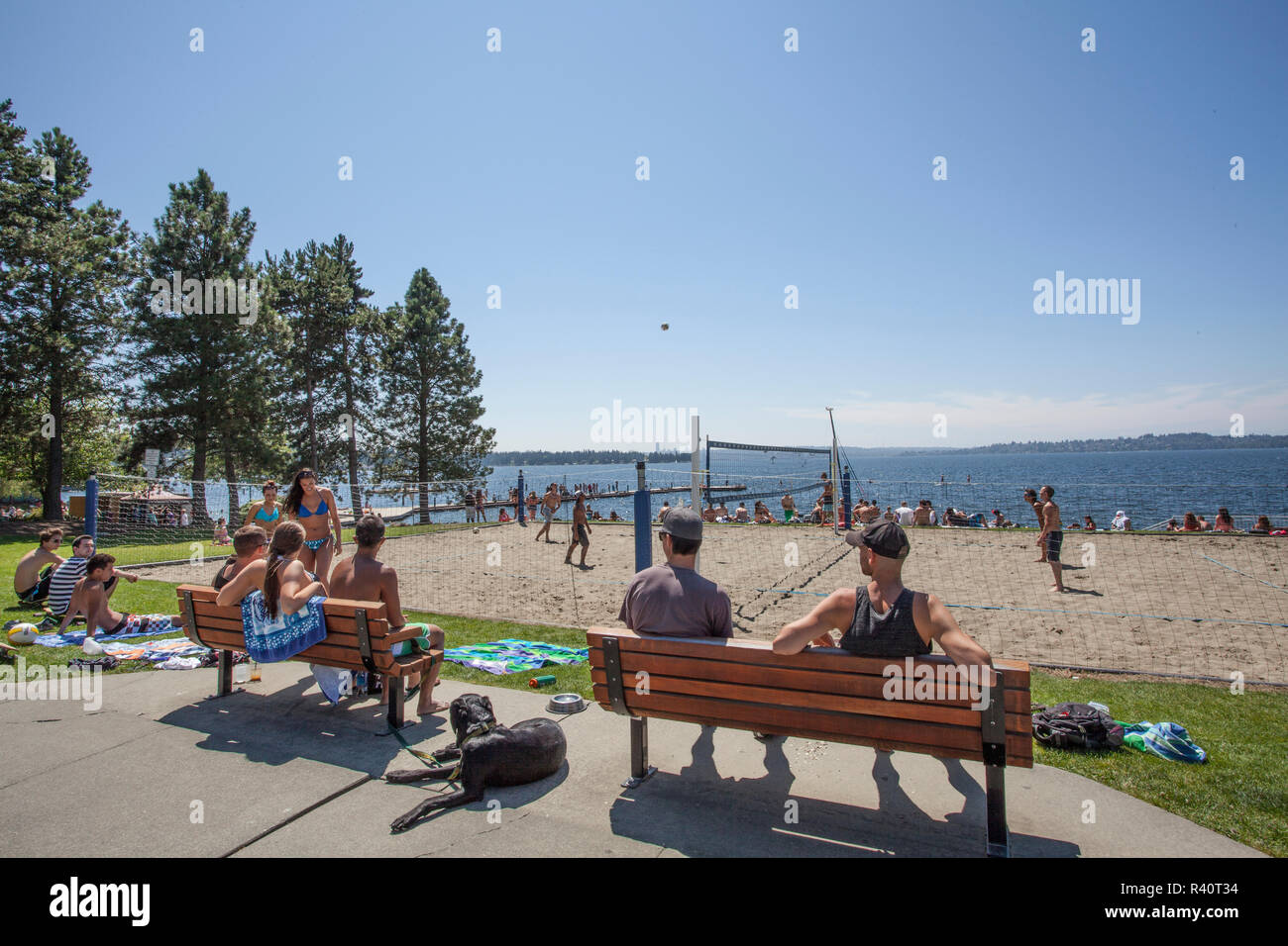 USA, Washington State, Kirkland, volleyball game at Marsh Park on Lake ...