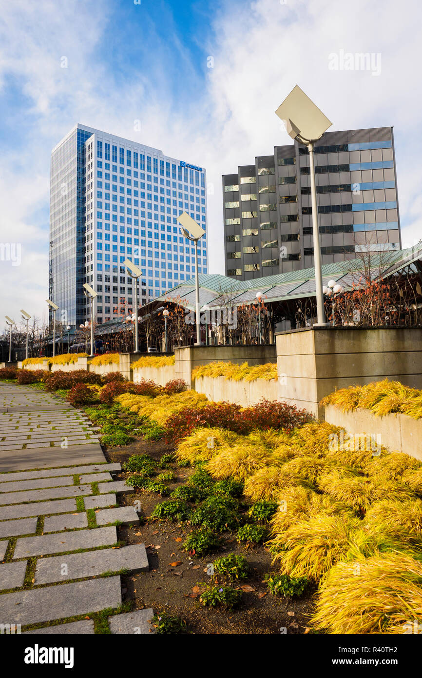 USA, Washington State, Bellevue. Office buildings and landscaping Stock ...