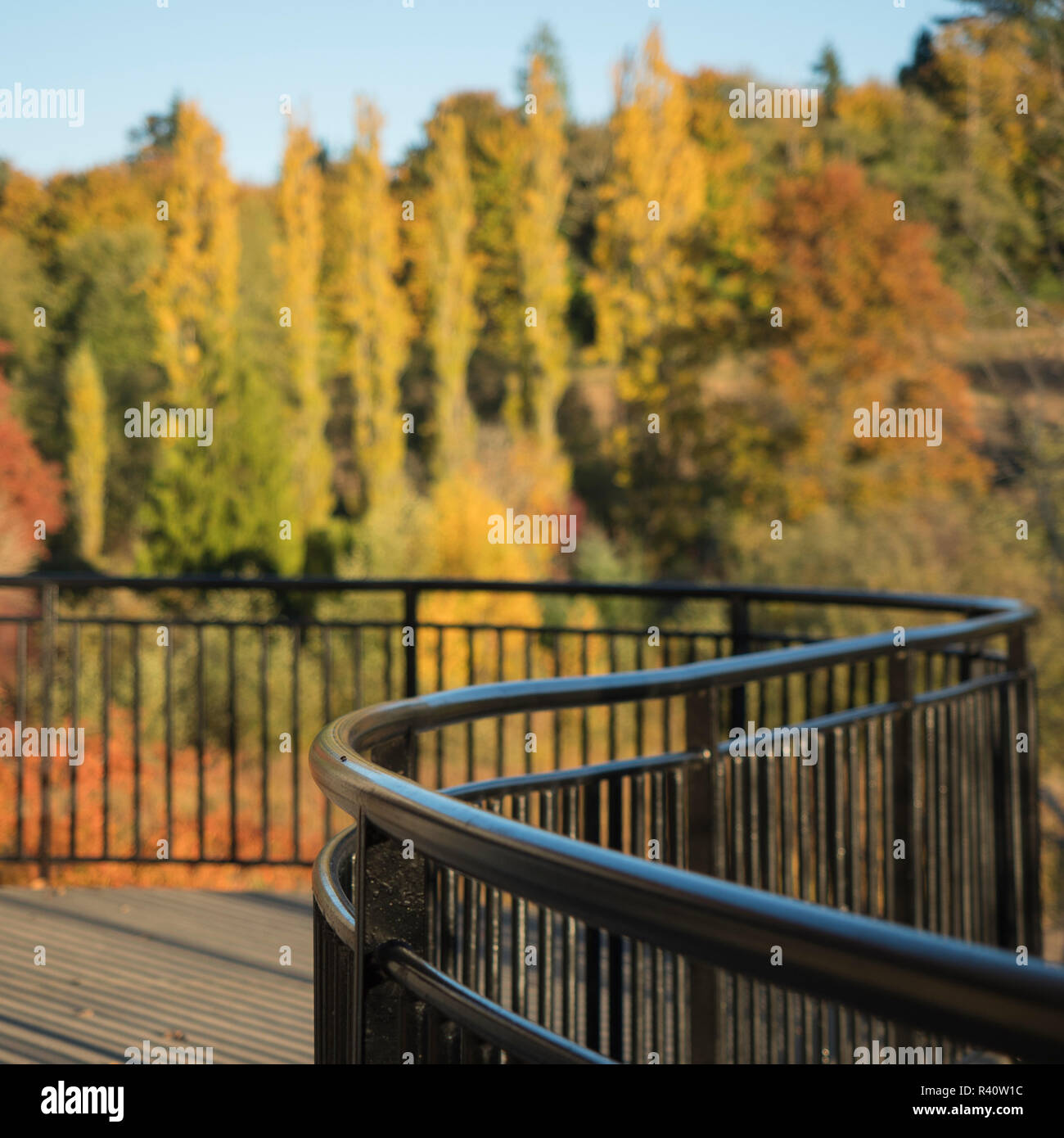 Lewis Creek Park Bellevue Hi Res Stock Photography And Images Alamy