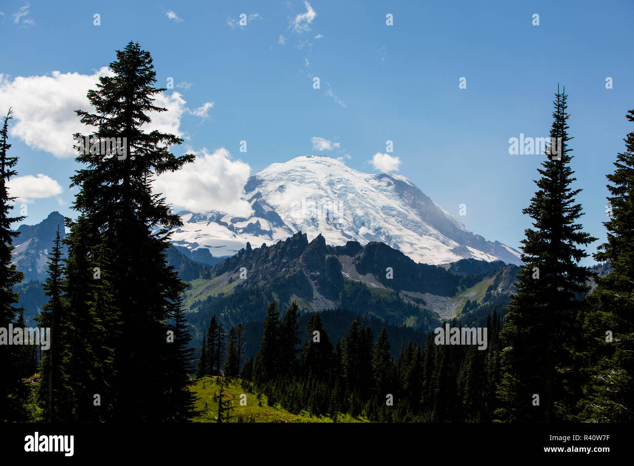 Mount Rainier National Park, Washington State. Mount Rainier from ...