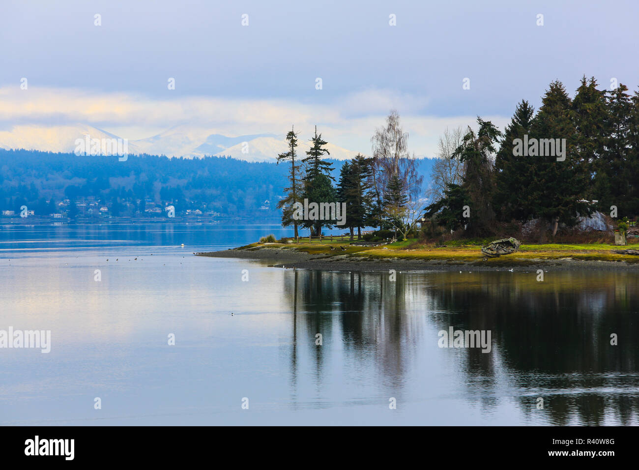 Bremerton, Washington State. Shipwreck on autumns ground with Evergreen ...
