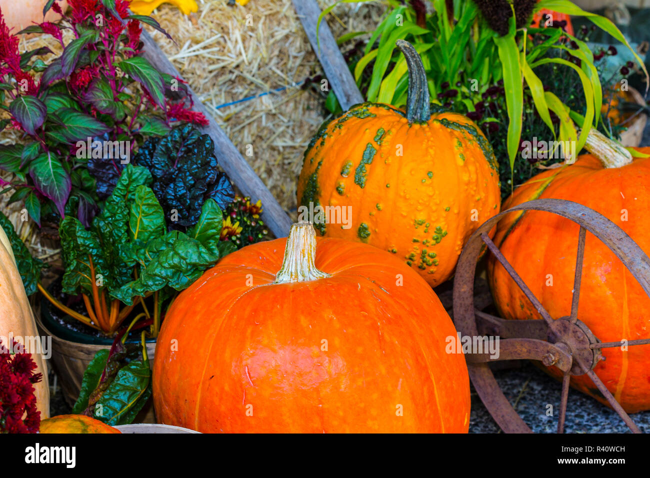 America garden equipment hi-res stock photography and images - Alamy