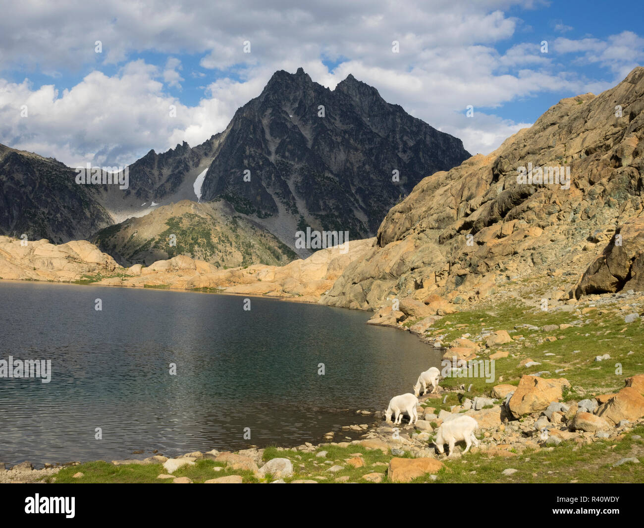 Washington State, Alpine Lakes Wilderness, Lake Ingalls and Mount ...