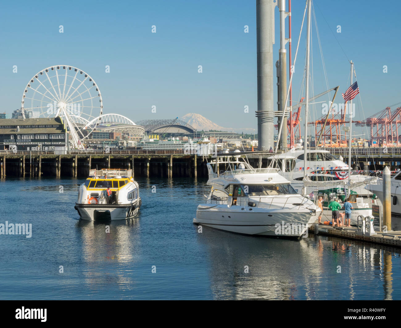 Washington State, Seattle, Bell Harbor Marina, with The Great Wheel and ...