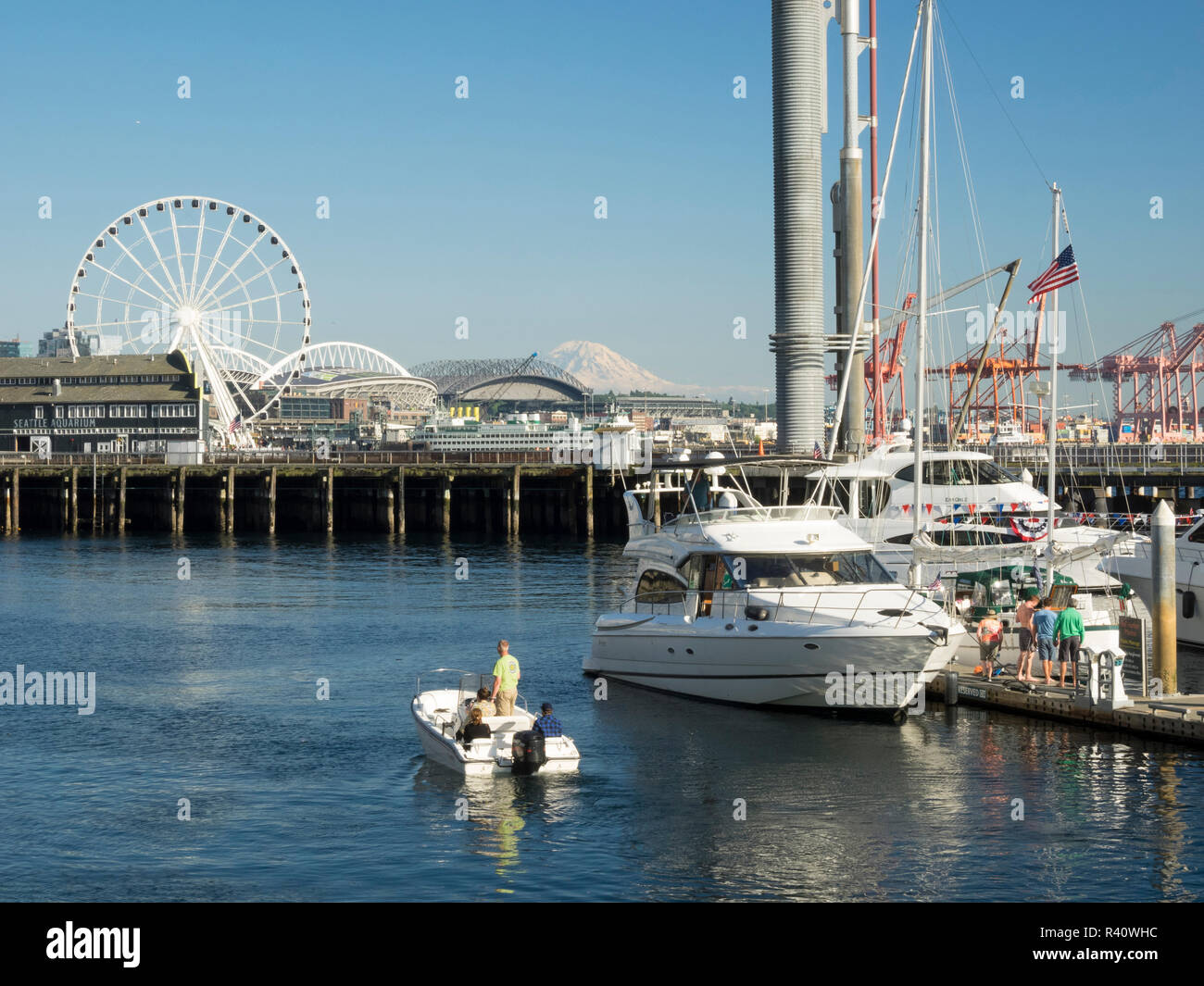 Washington State, Seattle, Bell Harbor Marina with The Great Wheel and ...