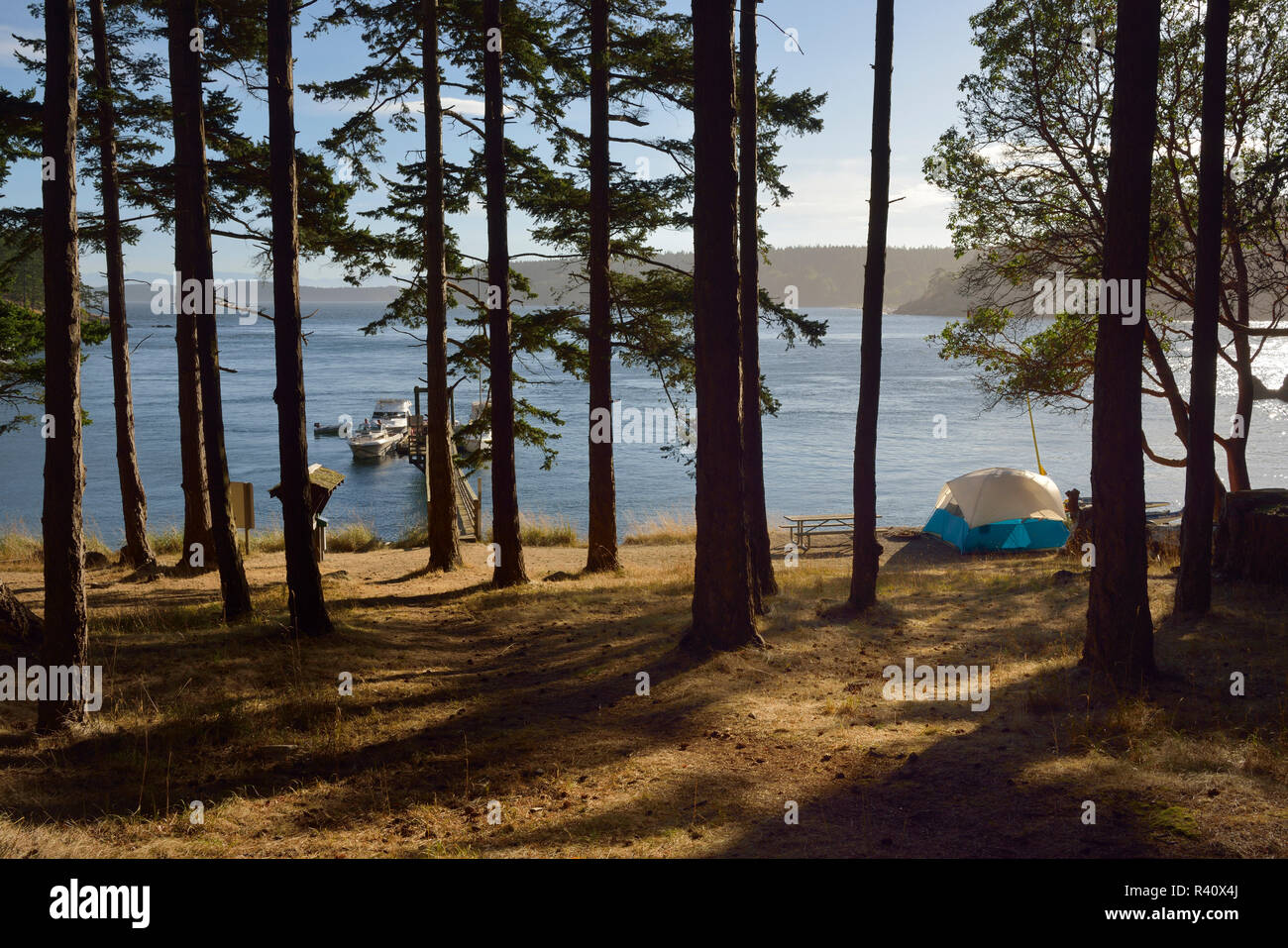 USA, Washington State, San Juan Islands, James Island, Camping in the ...