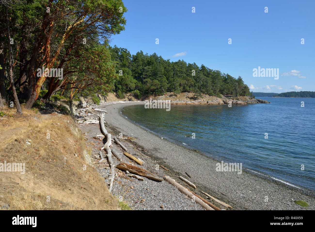 USA, Washington State, San Juan Islands, Jones Island, Gravel shoreline ...