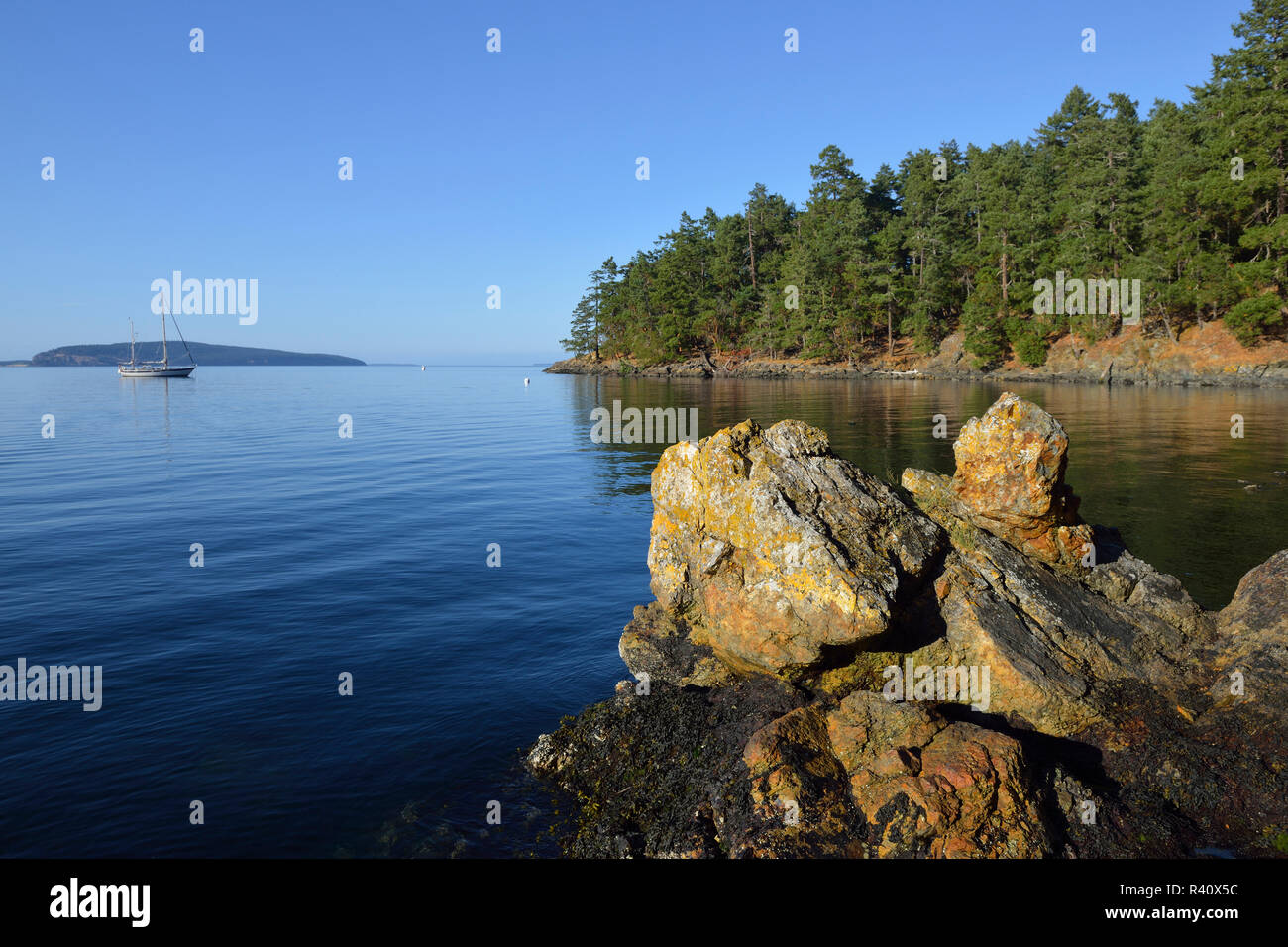 USA, Washington State, San Juan Islands, Jones Island, The rocky ...