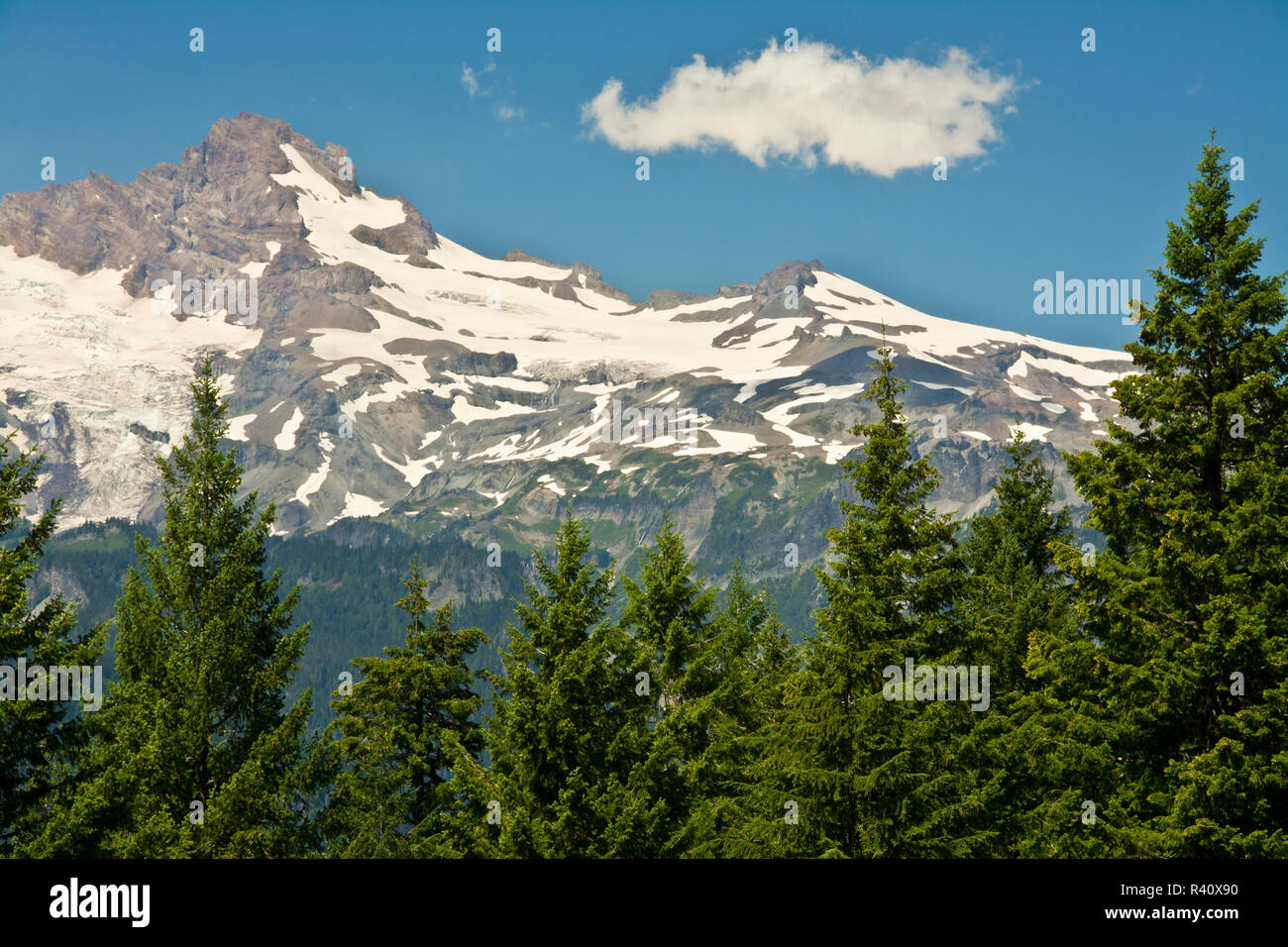 Mount Rainier, snow covered, road to Paradise, Mount Rainier National ...