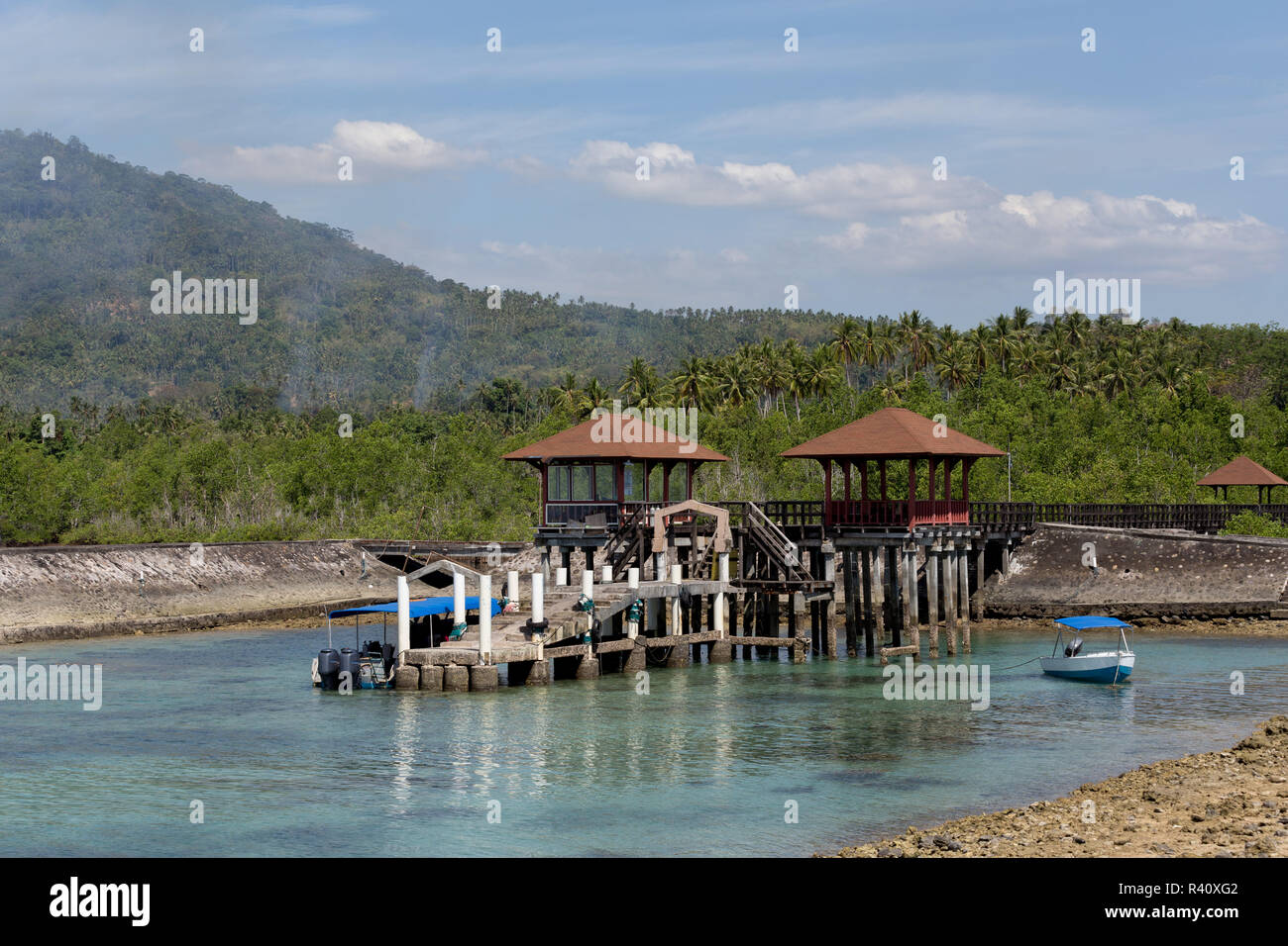 Indonesian landscape with mangrove and view point walkway Stock Photo ...