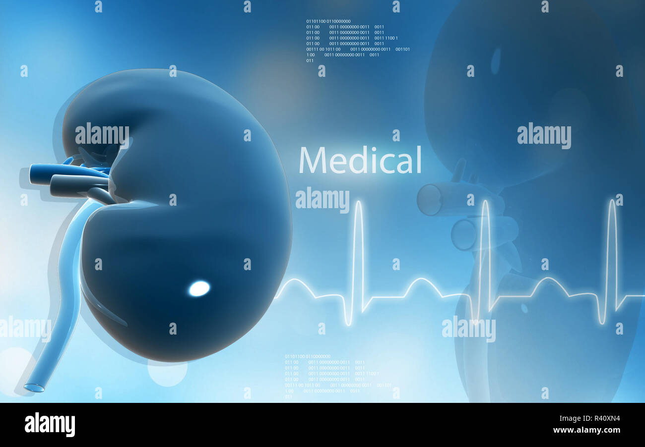 Kidney basin hi-res stock photography and images - Alamy