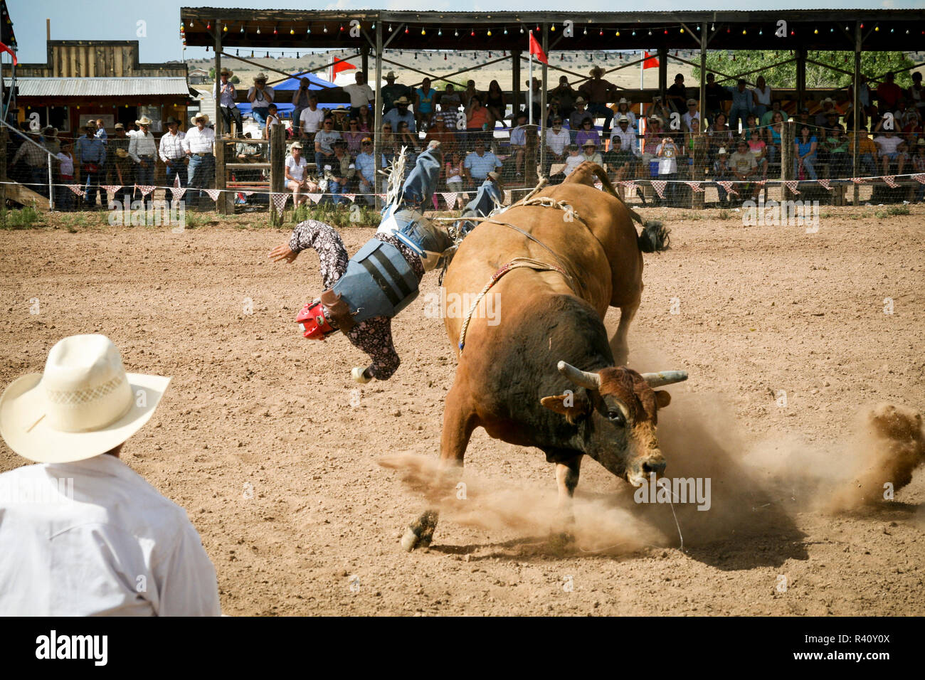 Cowboy falling off bull hi-res stock photography and images - Alamy