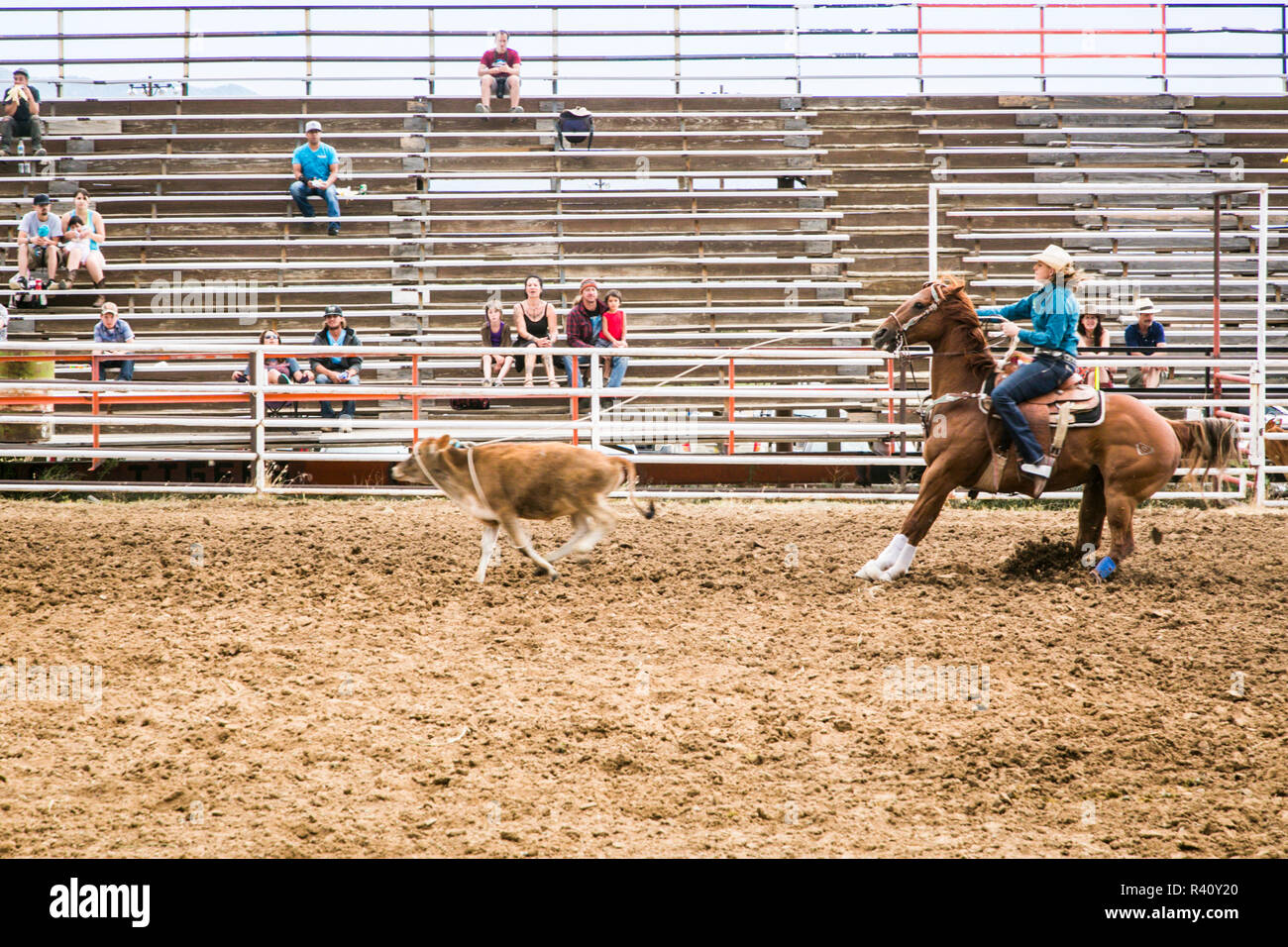 Western Rodeo Images