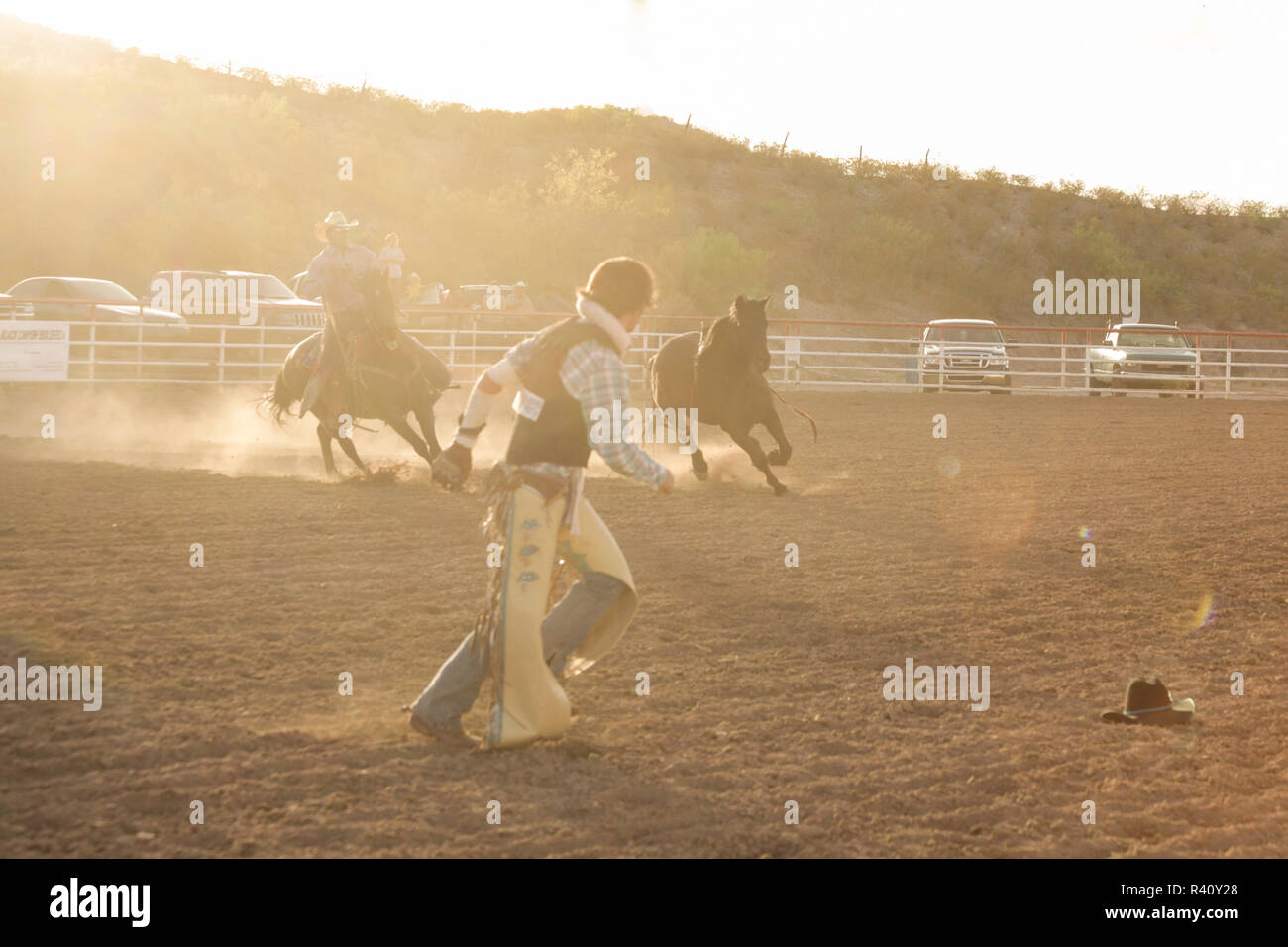 Dusty rodeo scene of bronc riding, Truth or Consequences, New Mexico ...